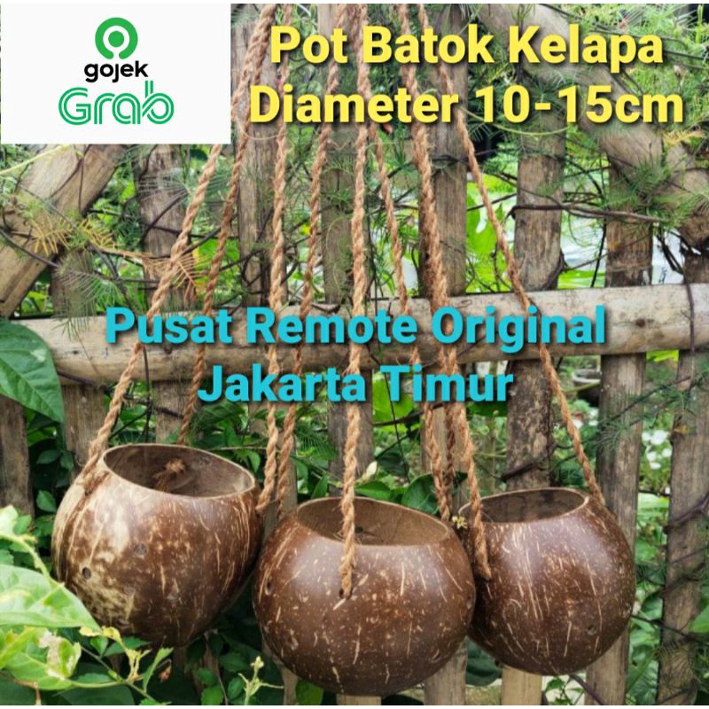 COCONUT SHELL FLOWER POT HANGING COCONUT TEMPUR ROPE | Shopee Malaysia