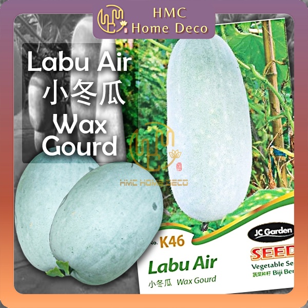 HMC K46 JC GARDEN VEGETABLE SEED GARDENING PLANTING TANAMAN SAYURAN ...