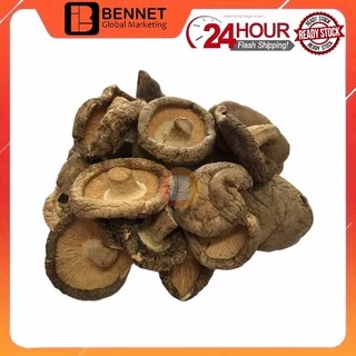 cendawan shiitake - Prices and Promotions - Oct 2024 | Shopee Malaysia