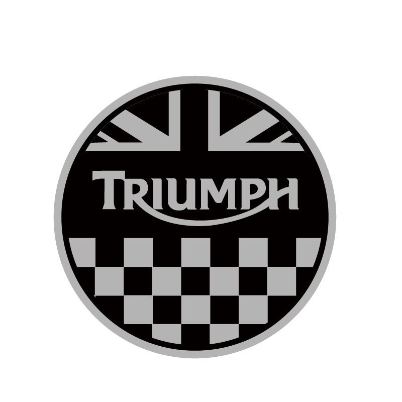 Trident 660 Street Triple 675 1050 Tiger 800 Bobber Daytona 67 resin ...