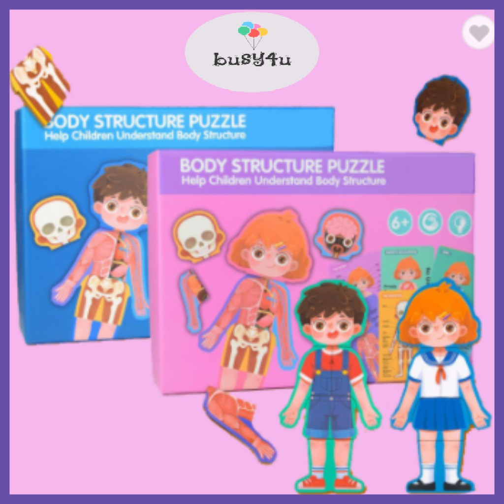 New Design Biology Education Body Structure Puzzle Boys & Girls Mainan ...