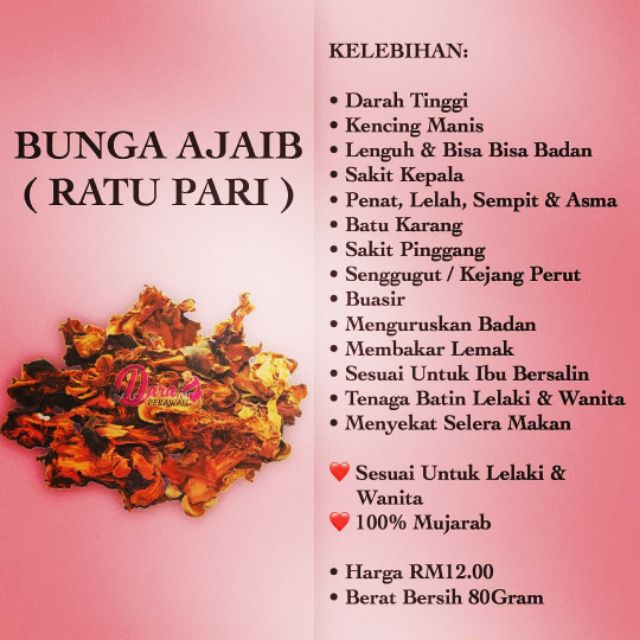 BUNGA AJAIB (RATU PARI) | Shopee Malaysia