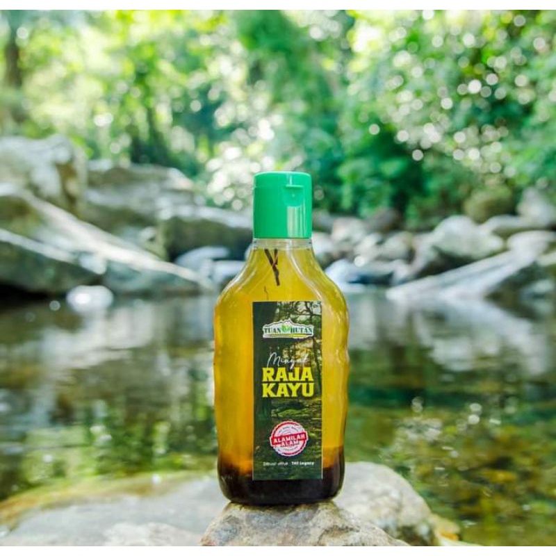 RAJA kayu Tuan Hutan | Shopee Malaysia