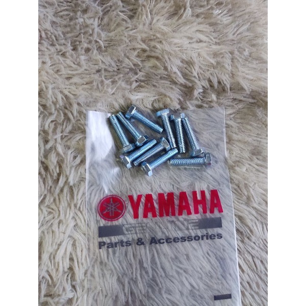 HEX HEAD SKRU SAIZ 10 COMMON PETAK 2.5CM Normal STEEL M6 X 25MM (BH625 ...