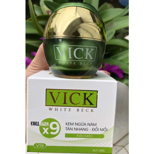 Vick CREAM TO PREVENT DARKNESS SlingshotS AND Age spots 30G | Shopee ...