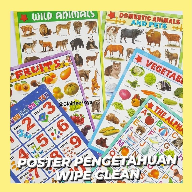 (2Pcs Contents) WIPE CLEAN Educational MINI POSTER - Knowledge POSTER ...