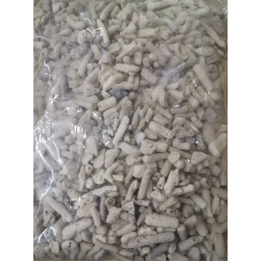 Aquarium Filter Media Big Coral Stone 2kg (Plastic Bag) | Shopee Malaysia