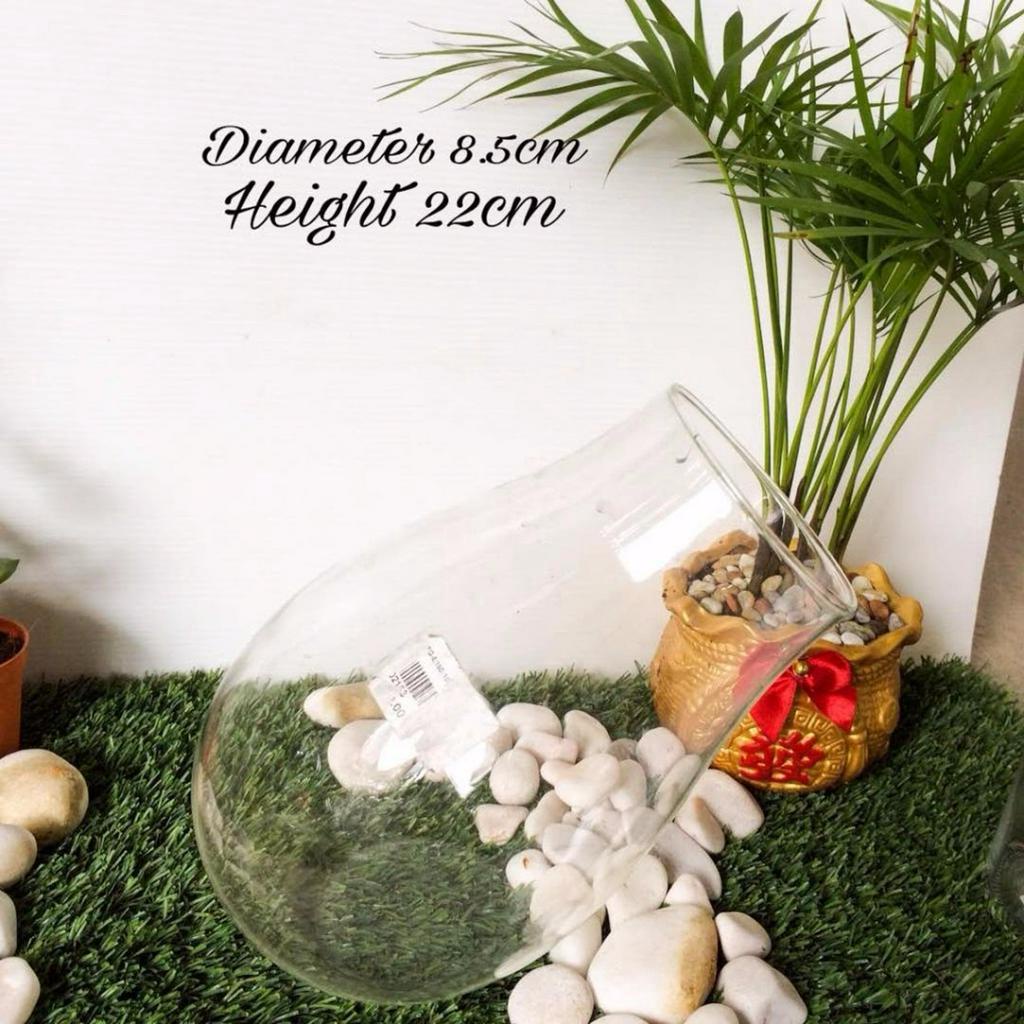 GNC - Succulent Terrarium Sideway Transparent Glass Pot Pasu Kaca ...