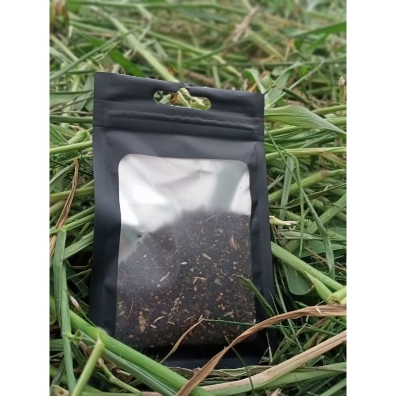 Benih maman (10 gram) | Shopee Malaysia