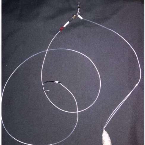 Perambut pancing ( IKAN PARI ) | Shopee Malaysia