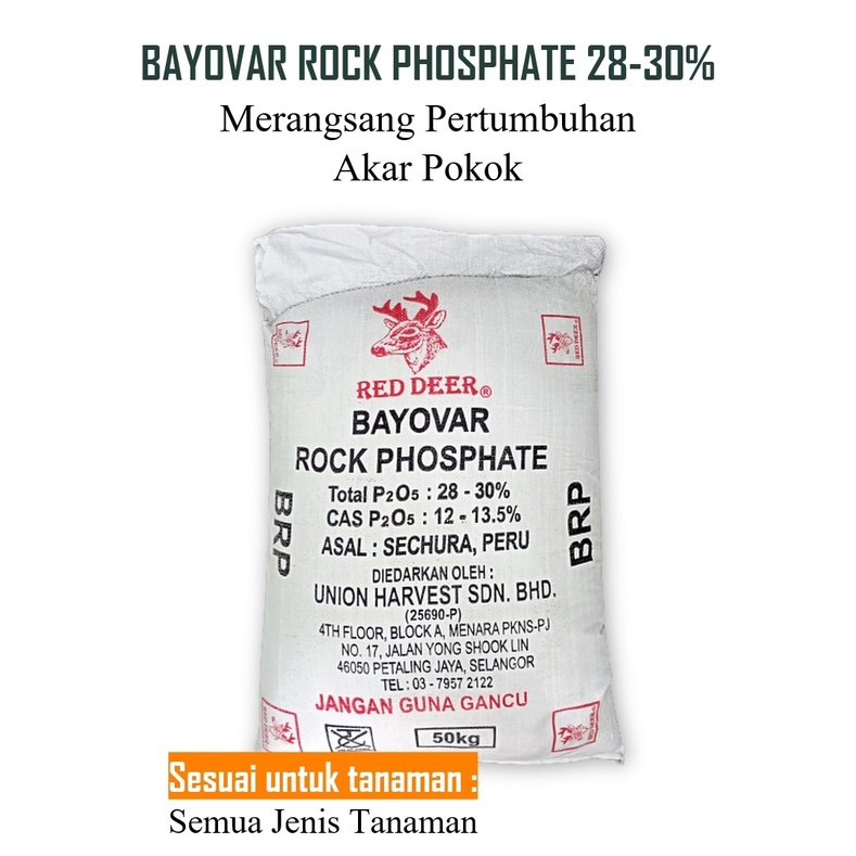 1KG BAJA BAYOVAR ROCK PHOSPHATE (BRP) P2O5 28-30% | Shopee Malaysia