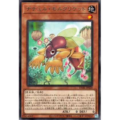 [LF] Yugioh 1110 DABL-JP020 / Naturia Molcricket / R | Shopee Malaysia