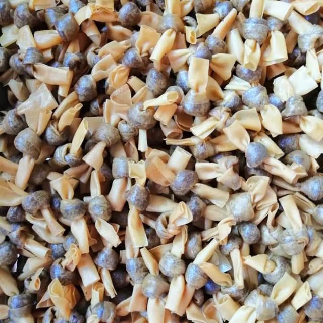 POPIA SIMPUL SERUNDING IKAN RESEPI OPAH | Shopee Malaysia