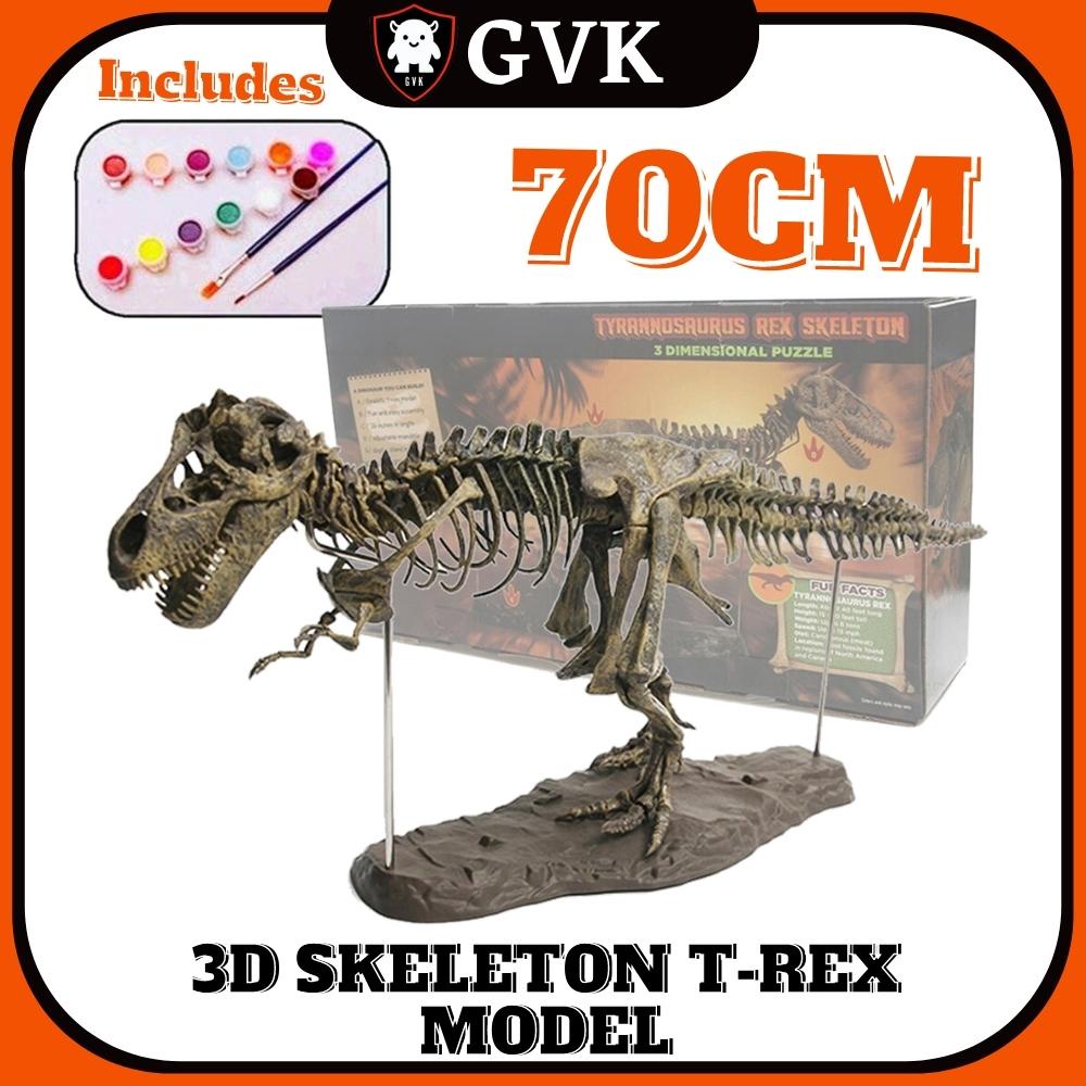 3D MODEL T-REX SKELETON GIFT 70cm Non-Toxic PVC Safe Play Kid Dinosaur ...