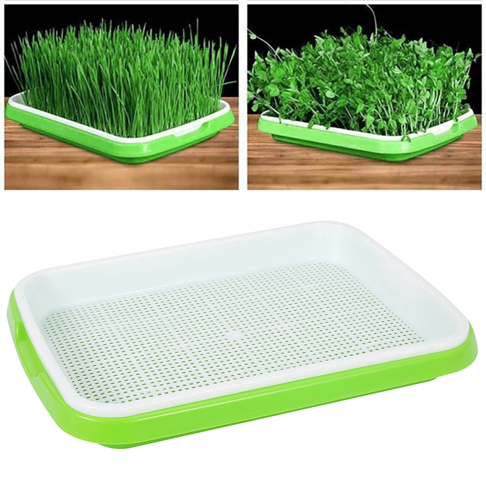 Wheatgrass Grower Seedling Tray Sprout Plate Hydroponics System Grow ...