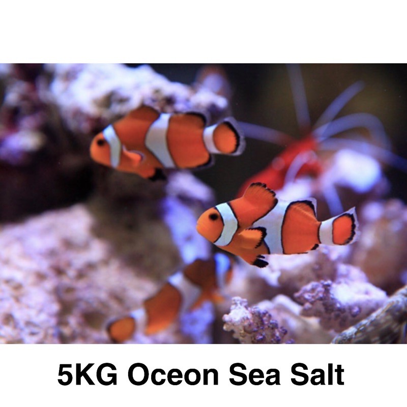 🔥Aquarium Sea Salt 5KG AQUARIUM SYSTEM OCEAN SEA SALT - 5kg | Shopee ...