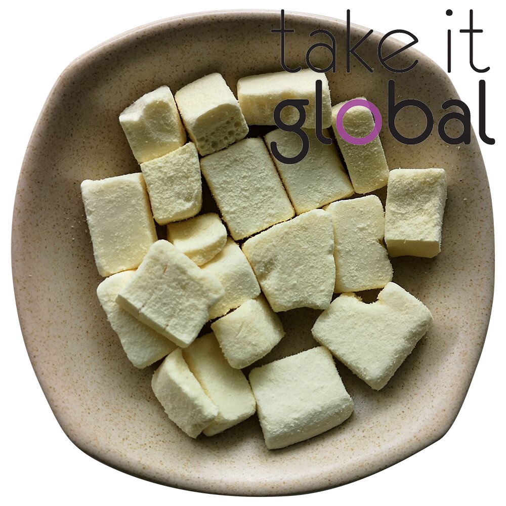 Dehydrated Tofu Cubes/Tauhu Kering Freeze Dry 冻干豆腐 - Food Grade / Pet ...
