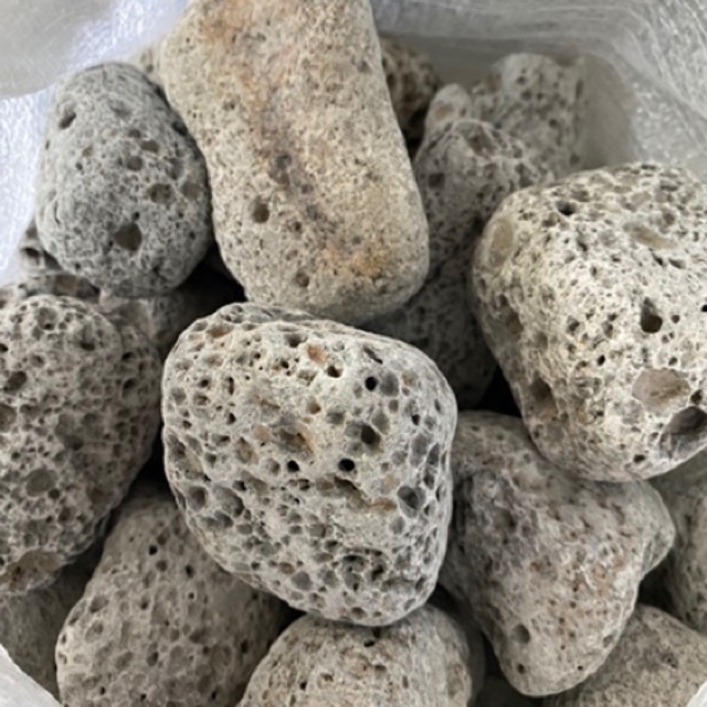 1L Pumice Gardening Landscape Decor Stone | Shopee Malaysia