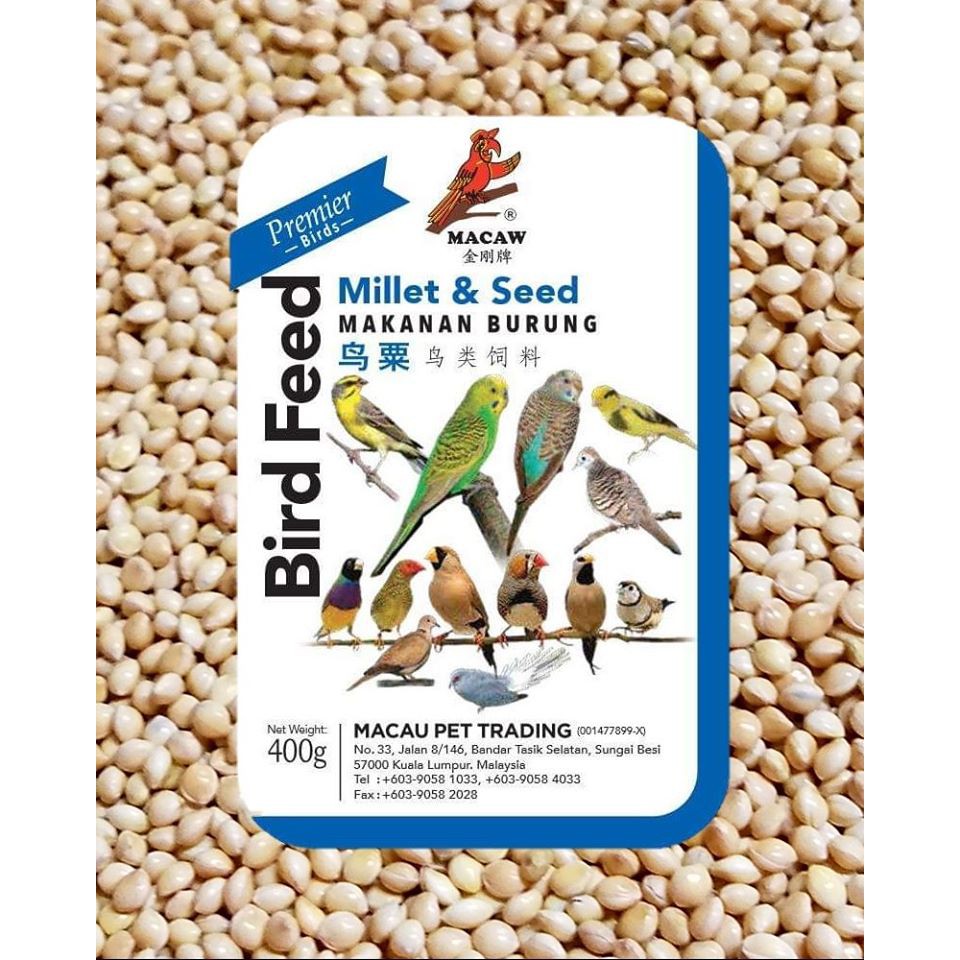 SKOI PUTIH [USA] GAMBU PUTIH WHITE MILLET MAKANAN PIPI MAKANAN MERBOK ...