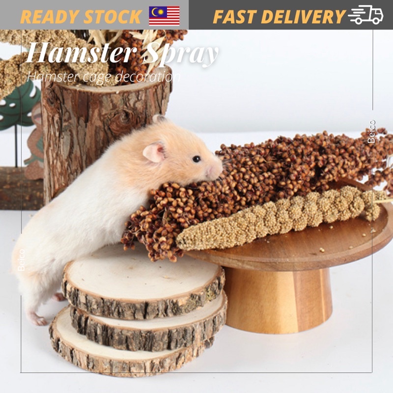 Hamster sprays Hamster cage decoration Golden millet sprays for small ...