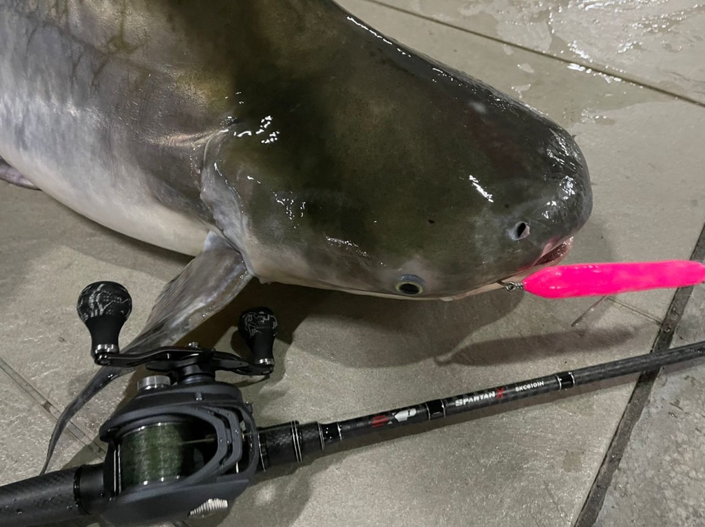 EXP ROD SpartanX Carbon Fiber 1PCS Fishing Rod Medium Heavy Bait ...