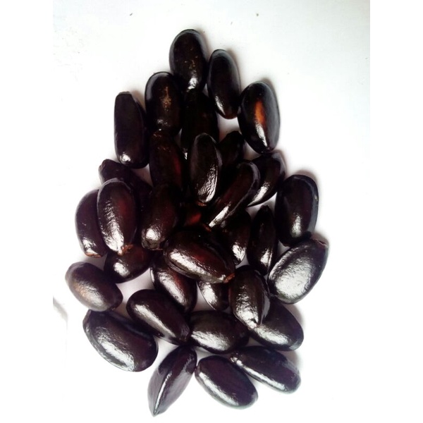 biji Benih nona merah (custard apple seeds) | Shopee Malaysia