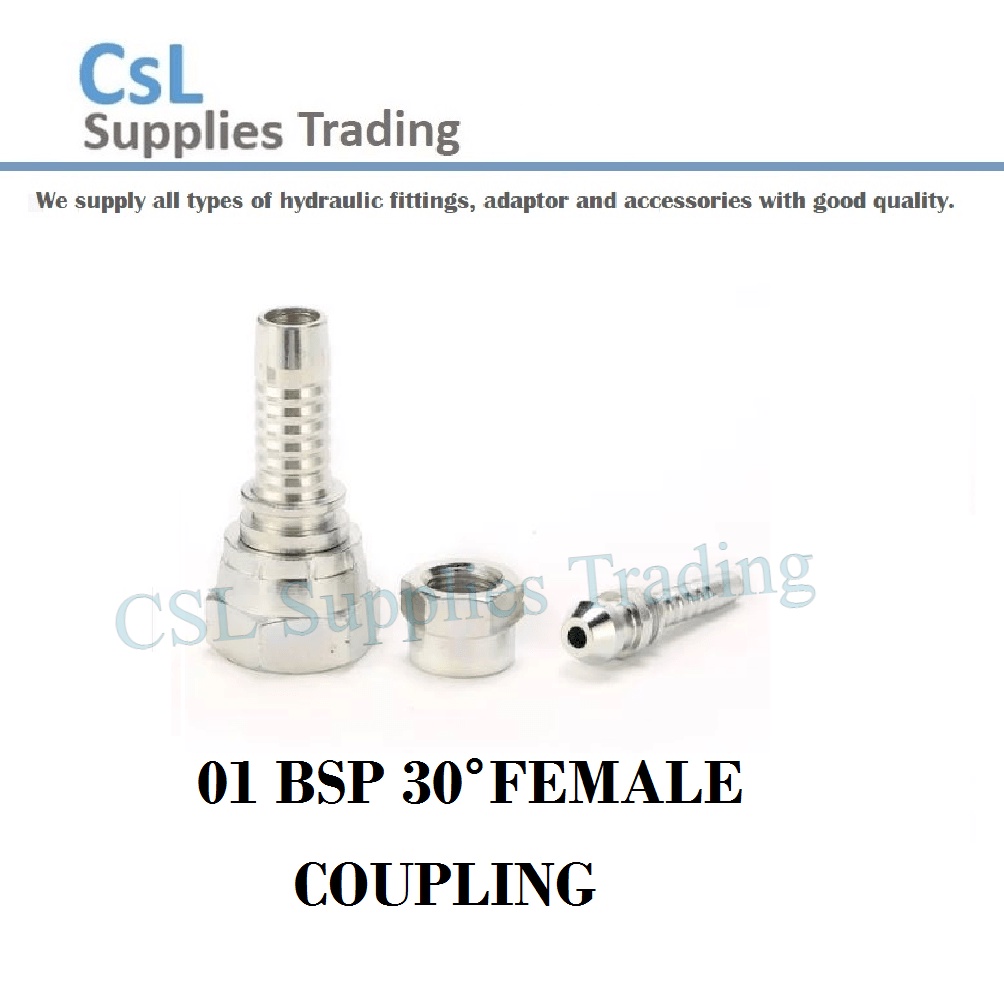 01 BSP TYPE HYDRAULIC FITTING | Shopee Malaysia