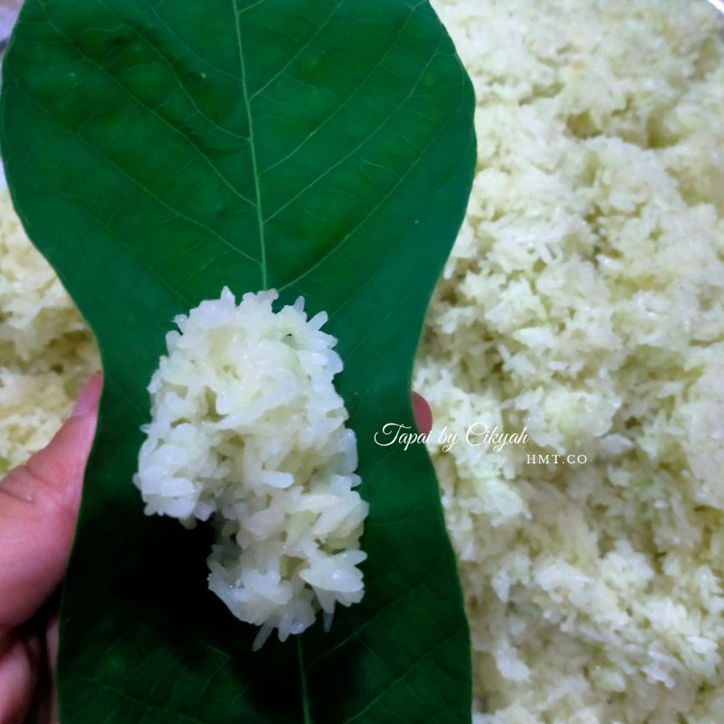 Tapai Beras Pulut Putih / Tapai Ori Kelantan /Tapai Daun Getah /Tapai ...