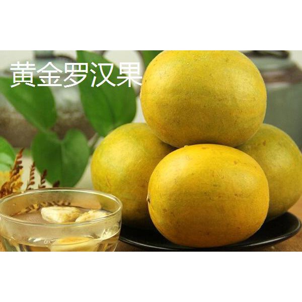 🔥READY STOCK🔥!!! 黄金罗汉果 Golden Luo Han Guo | Shopee Malaysia