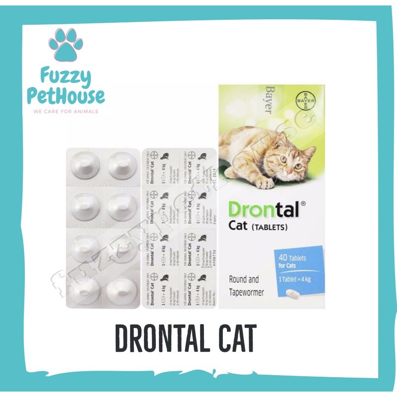 Drontal Cat Deworming Medicine for Cats Tablets | Shopee Malaysia