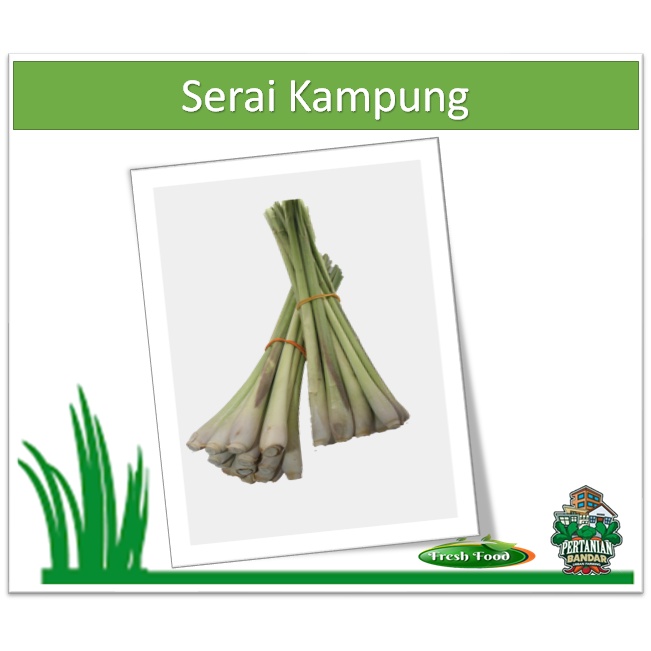 Sayur Kampung Segar/ Serai Kampung/ Lemongrass 10 Batang | Shopee Malaysia