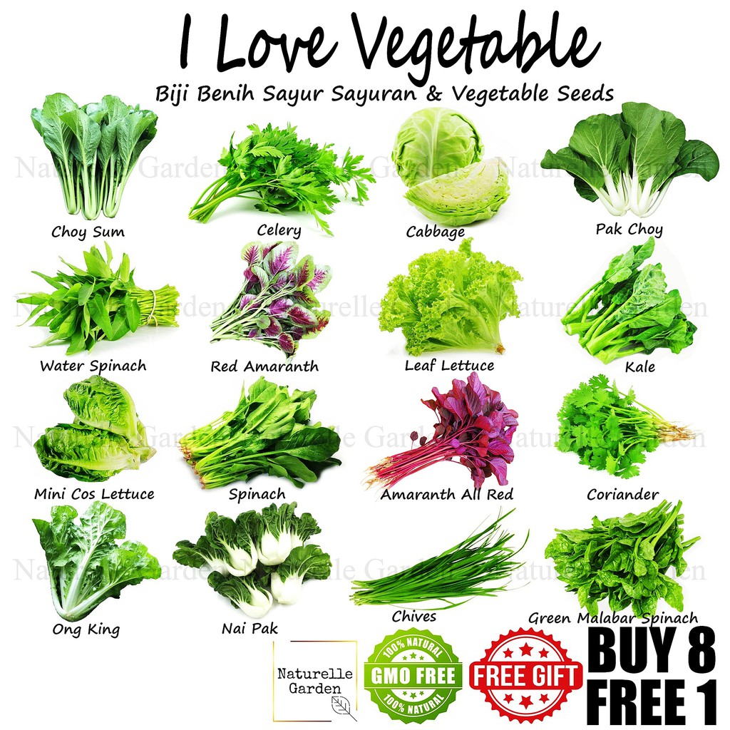 Biji Benih Sayur Sayuran Vegetable Seed Benih Sayur Buah Sawi Bayam ...