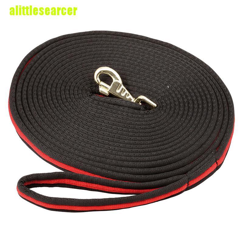 AER 8M Horse Lunge Line Large Dog Training Lead Webbing Equestrian ...