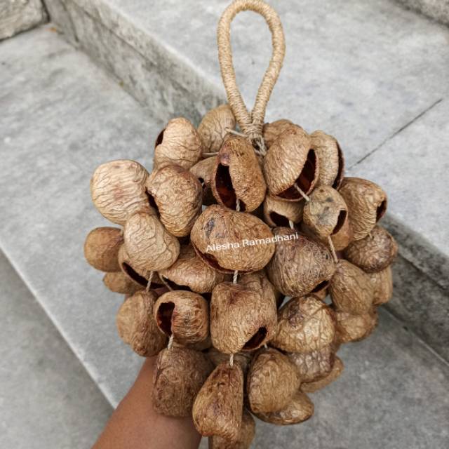 Unique Musical Instrument Marakas Kluwak Rencek Flowing Water Sound ...