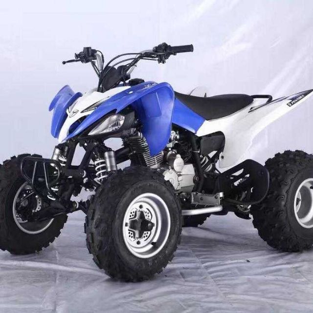 malaysia stock atv sports LEM 250cc 5 speed | Shopee Malaysia