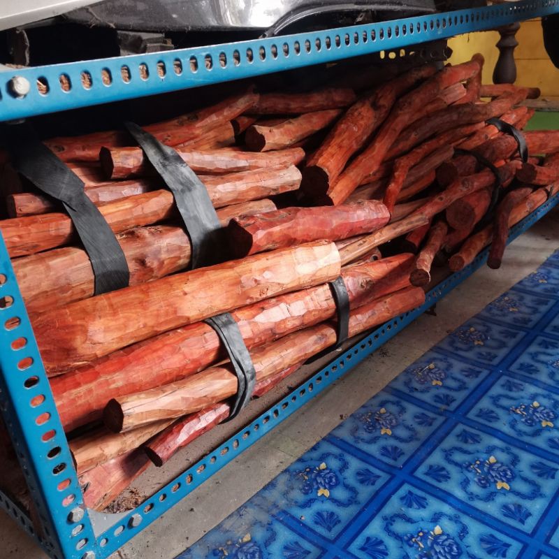 Raja Kayu Merah Asli Gred AAA pokok tua dan matang | Shopee Malaysia