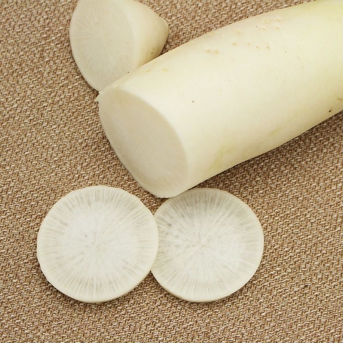 Benih Lobak Putih Korea White Radish Seeds [25 seeds] 大白萝卜种子 Gardening ...