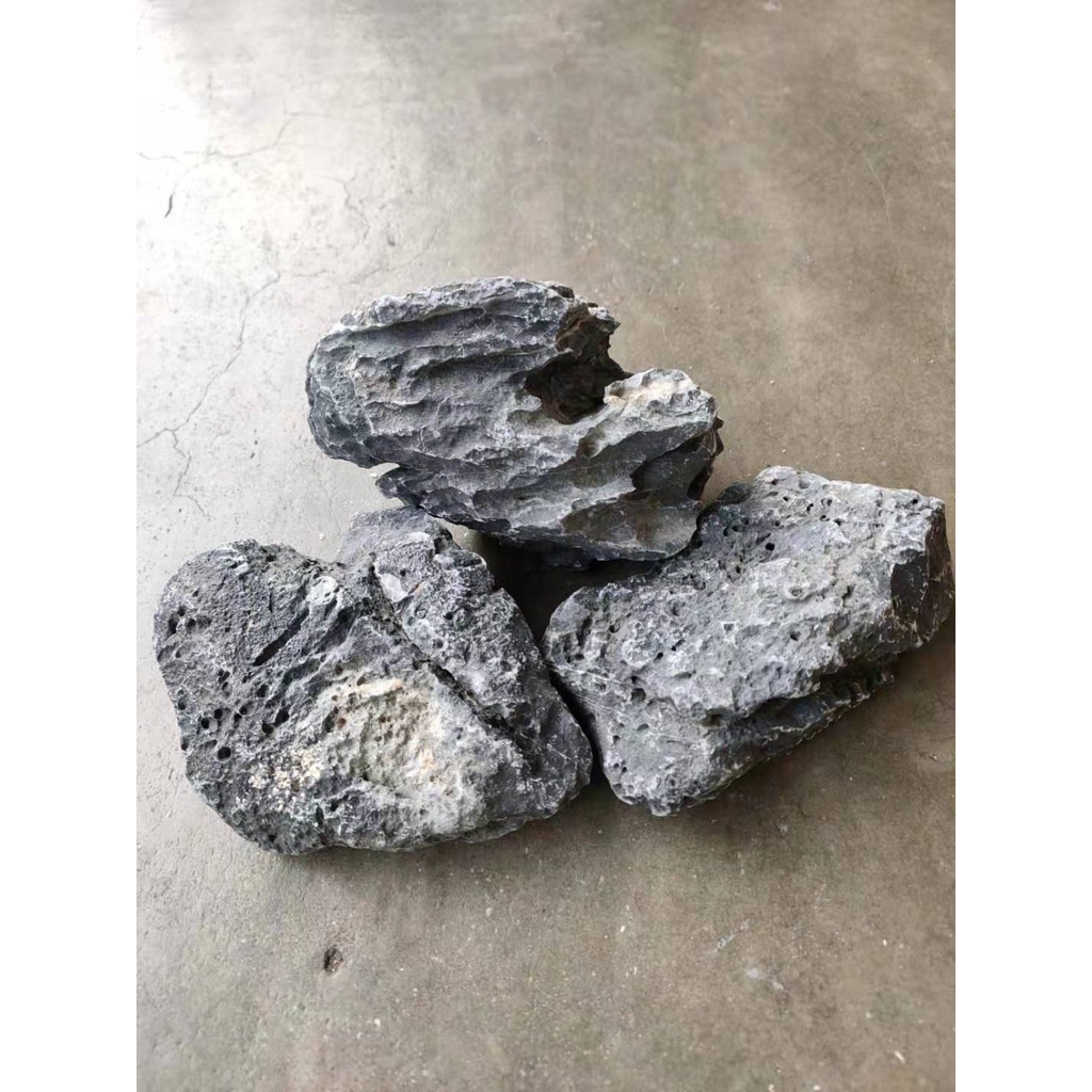 Aquascape Batu Aquarium Stone / Rock Alveolate , Dragon 鱼缸石头 [ 1kg ...