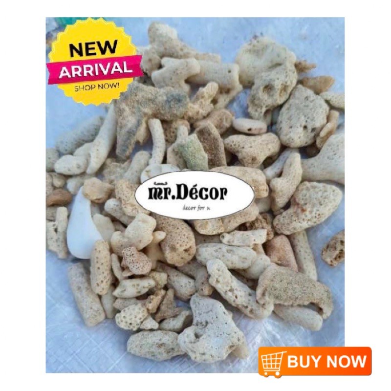 Coral Aquarium Filter Media Stone 珊瑚石 | Shopee Malaysia