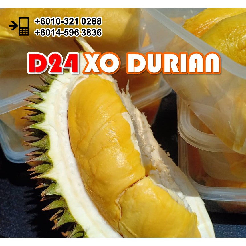 D24 XO Durian 400gram/克【 KL Selangor Only】 | Shopee Malaysia