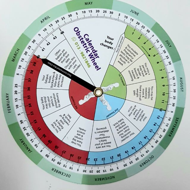 Pregnancy Wheel Calender OB Wheel, Due Date OB-GYN Calculator | Shopee ...