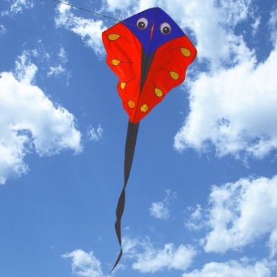 COLORFUL CARBON STEEL HIGHFIN GROUPER STYLE FLYING KITE (COLORMIX ...