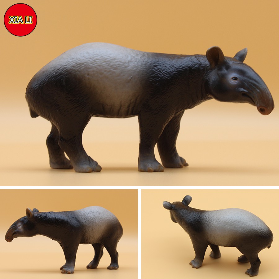 【Spot】Realistic Solid Simulation Wild Forest Animals Malayan Tapir ...