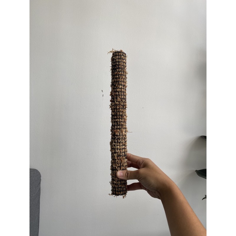 CLEARANCE SALE LOYFE NATURE - Mini Moss Pole with Chilean Sphagnum Moss ...