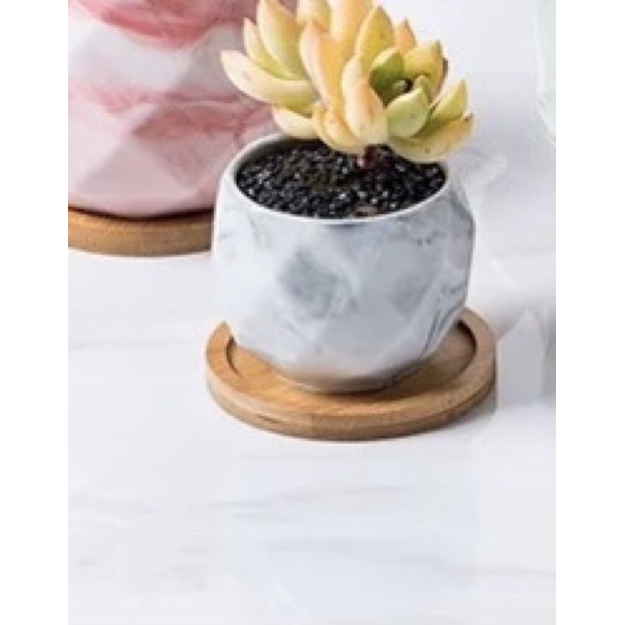 Aesthetic Ceramic Pot Marble Series Faceted Colorful For Succulent ...