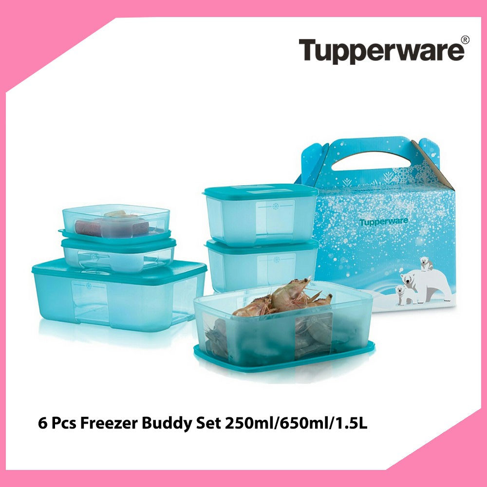 [READY STOCK] Tupperware 6 Pcs Freezer Buddy Set Freezermate Container ...