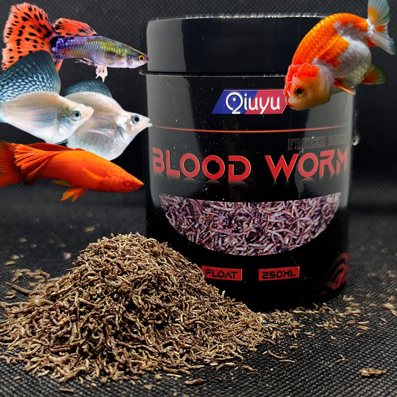 Makanan Ikan Dried Blood Worms Cacing Beku Cacing Tubifex Betta Food ...