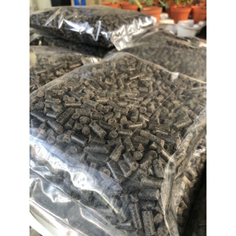 BAJA SOYA UNTUK TUMBESARAN POKOK BUNGA DAN BUAH BAJA KELADI BAJA BUNGA ...