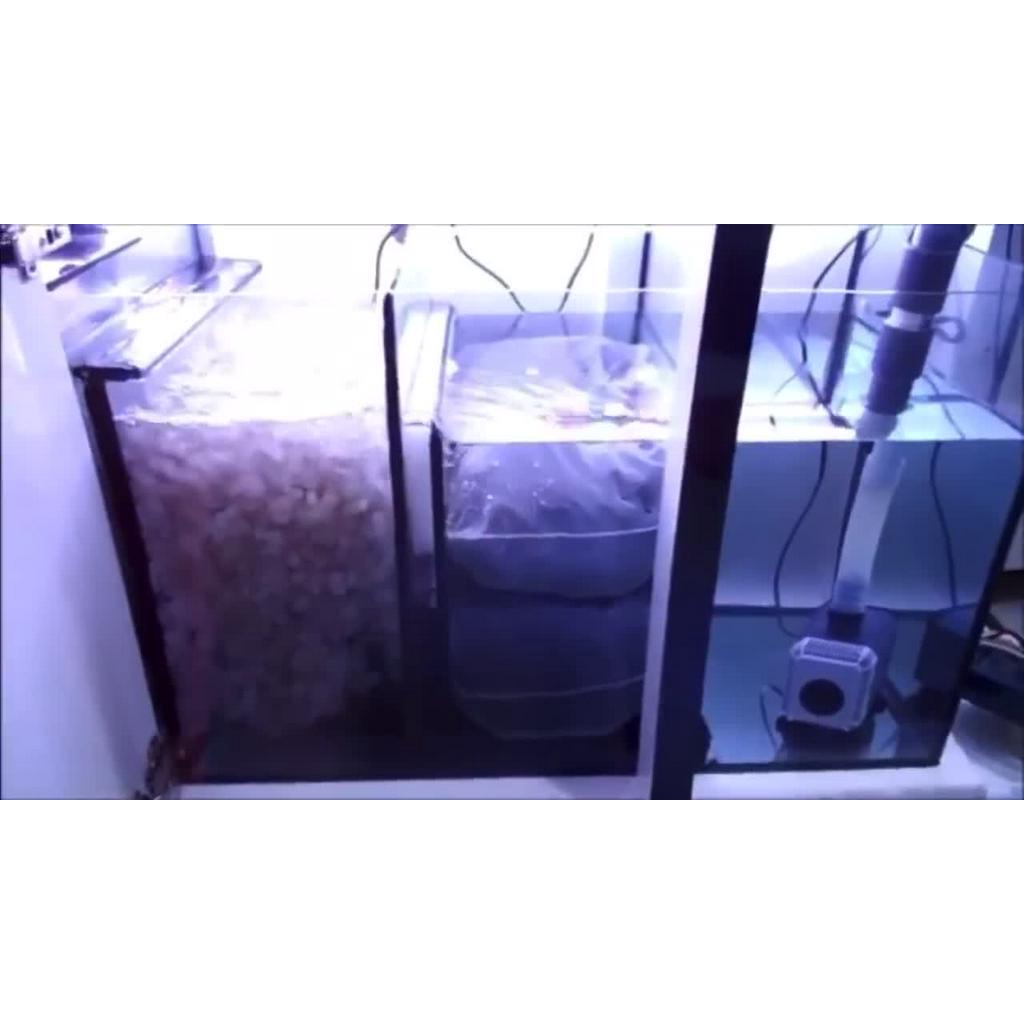 🔥READY STOCK 🔥K1 K3 Bio Media 1KG Bacteria House Filter Media 6 holes ...