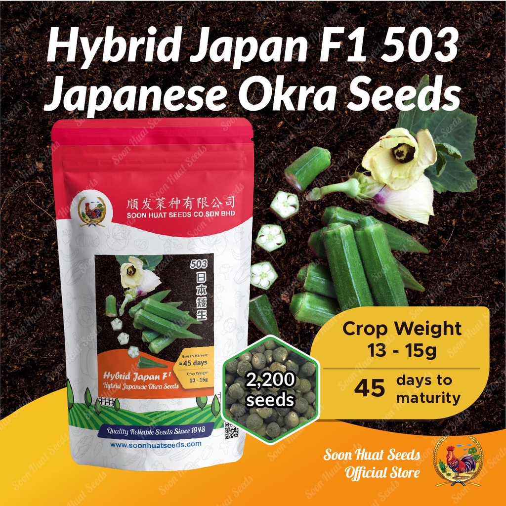 [100g] 503 Benih Bendi Jepun Hybrid Soon Huat Seeds | Shopee Malaysia